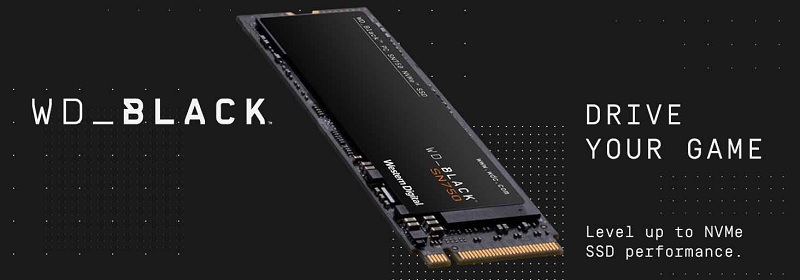 WD Black WDBGMP0010BNC-WRSN SN750 1TB NVMe M.2 2280 SSD Review ...